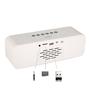 Portable Bluetooth Stereo Speaker, 10W Acoustic Drivers, Dual Subwoofer, FM Radio & Handsfree Speakerphone, Micro SD Card & USB & AUX Slots for Smart Phone, MP3, MP4, iPad, Tablet & More