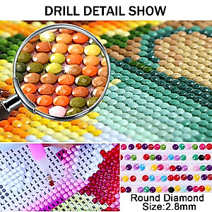 KS Diamond Painting Kits for Adults,5D DIY Full Drill Starry Sky Nightscape Castle Diamond Art Painting Kits DIY Adult Crafts 12x16inch