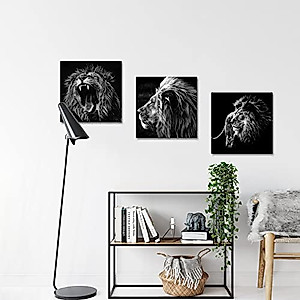 Kreative Arts - 3 Panels Lion King Black and White Canvas Prints Wall Art Modern Painting Wall Pictures for Living Room Office Decoration Ready to Hang (12x12inchx3pcs/set)