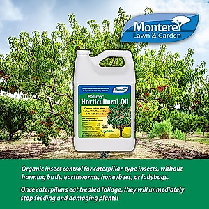 Monterey Horticultural Oil 1gal