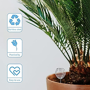 GANAZONO Orchid Fertilizer 10pcs Stainless Steel Succulents Mini Mini Planting Fertilizers Baskets