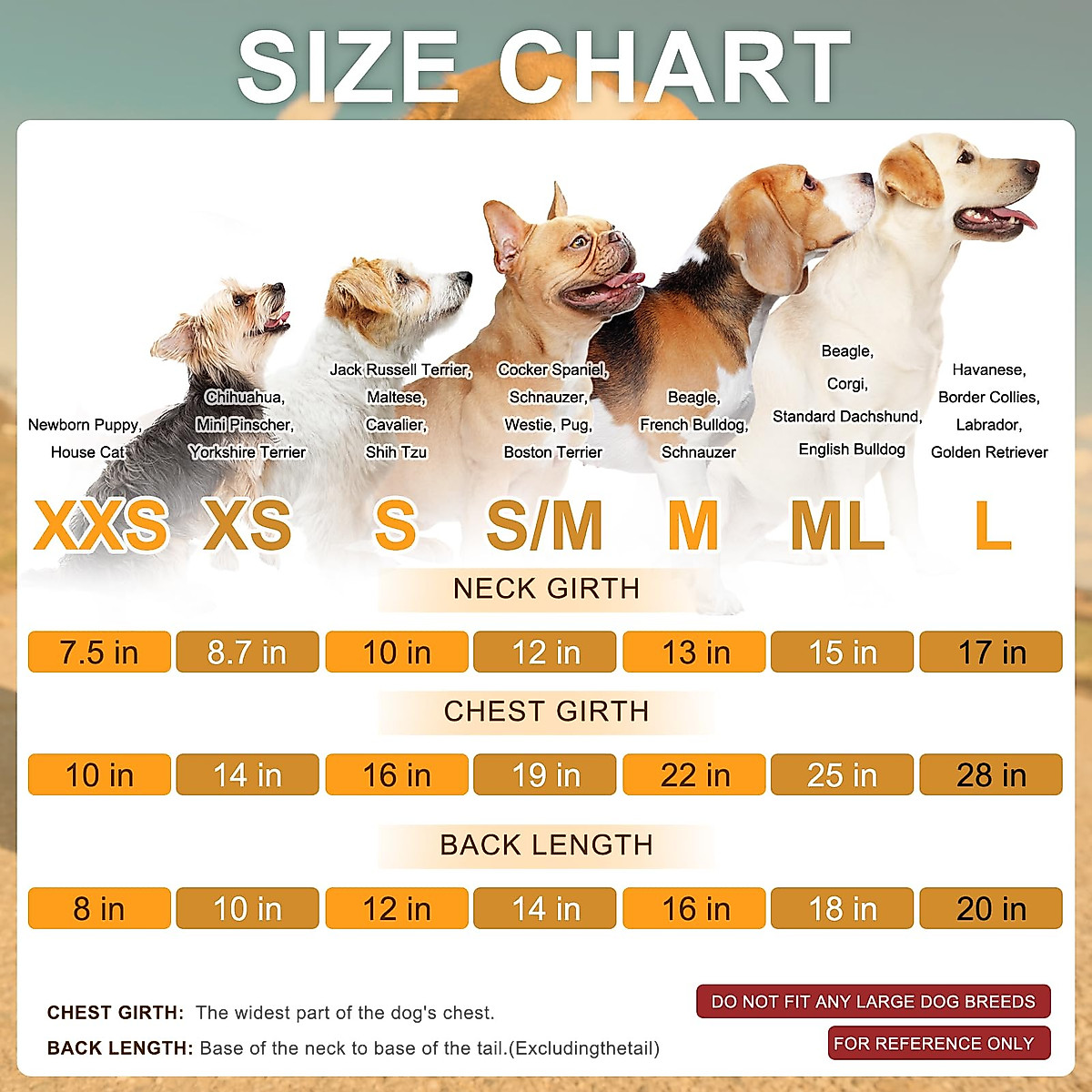 BEAUTYZOO Dog Hoodie for Small Medium Large Dogs, Winter Fall Warm Dog Clothes for Puppy S M Sized Dogs Girl Boy, Dog Sweater Shirt Hoodies with Pocket Bulldog Pitbull Cat Clothing Coat