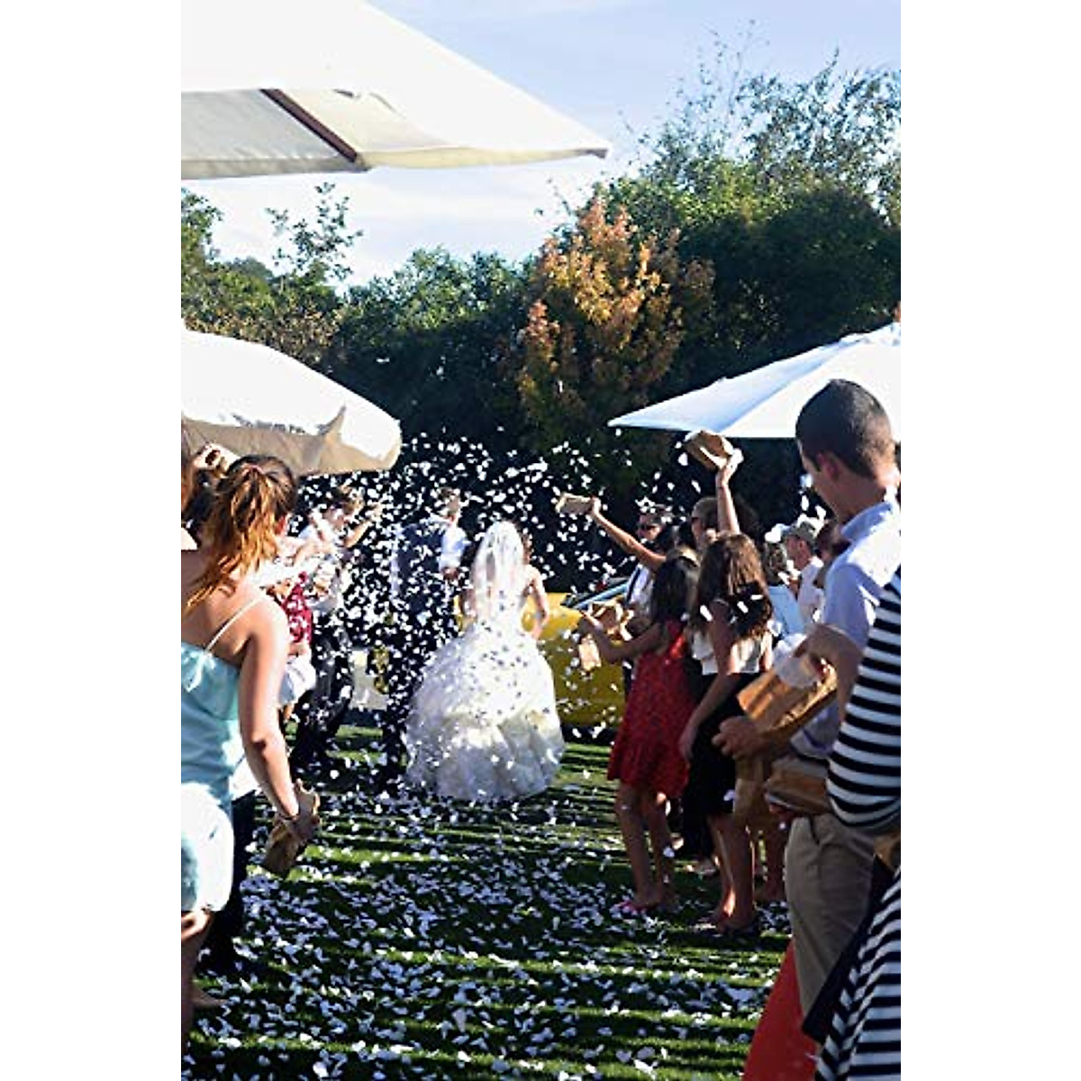 Heart Shaped Biodegradable Wedding Confetti - 10,000 pieces. Product of The USA.