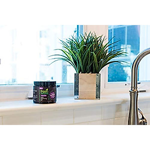 Fresh Wave Lavender Odor Removing Gel, 15 oz. | Odor Absorbers for Home | Safer Odor Relief | Natural Plant-Based Odor Eliminator | Every 15 oz. lasts 30-60 Days | For Cooking, Trash & Pets