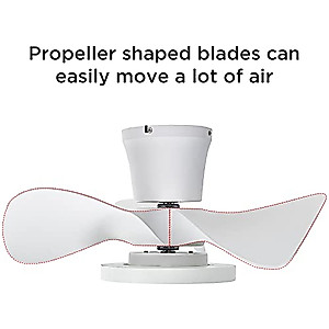 ocioc Quiet Ceiling Fan with LED Light 22 inch Large Air Volume Remote Control for Kitchen Bedroom Dining Room Patio