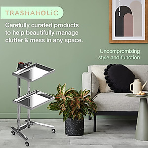 Multifunctional 2-Tray Utility Cart on Wheels - Stainless Steel 2-Level Medical Trolley Cart - Mobile Storage Tray Cart for Dental Tools, Cavitation Machine, Salon Supplies - Foldable Storage Trays