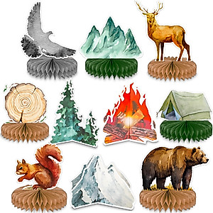 10 PCS Adventure Awaits Party Decorations Adventure Table Toppers Let The Adventure Begin Centerpieces Happy Camper Party Honeycomb Balls Camping Party Honeycomb for Baby Shower Birthday Party Decor