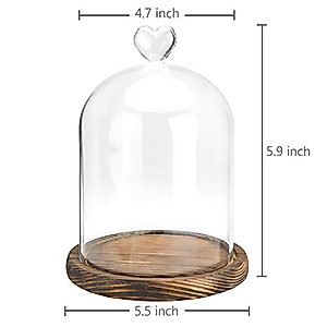 MyGift 6 Inch Small Clear Glass Cloche Bell Jar Display Case with Heart Top Handle and Dark Brown Wooden Base