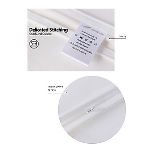 HERZLG LLFELuxury Silk Pillowcase for Hair and Skin, Both Sides 100% 19mm Pure Mulberry Natural Silk Pillow Cases with Hidden Zipper Satin Pillowcase -Ivory-Standard 20x26