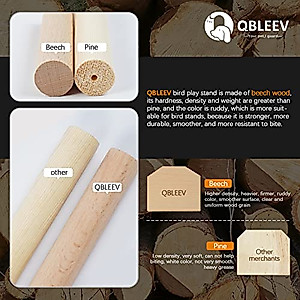 Bird Play Stand Parrots Playground Wooden Stick Perch，Bird Playpen Exercise Gym with Ladder Feeder Cup Bell Swing，Parrot Play Climb Gym for Parakeet Cockatiel Conure(Include a Tray)