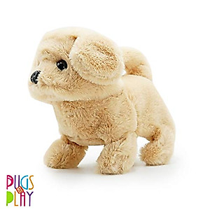 Daron Pugs at Play Goldie Walking Dog (PAP05)