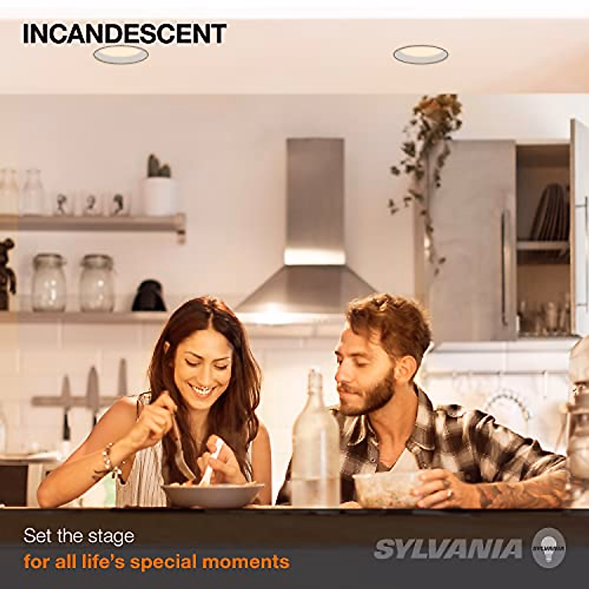 SYLVANIA Incandescent 65W BR40 Flood Light Bulb, 540 Lumens, 130 Volt, E26 Medium Base, 2850K, Warm White - 6 Pack (15679)