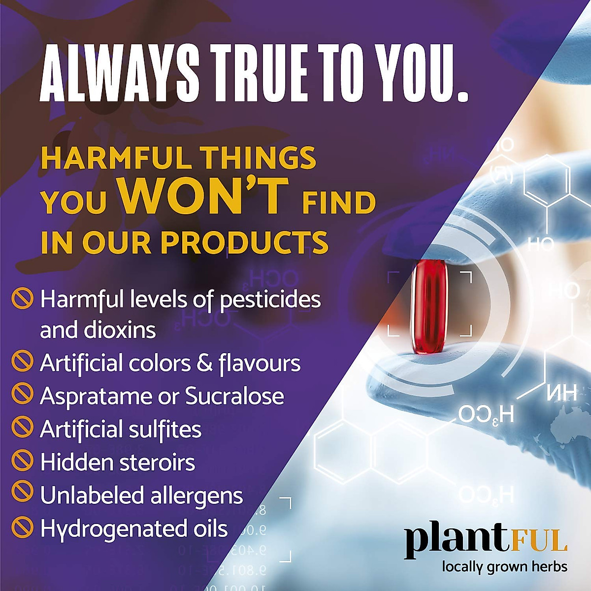 Nootropic Brain Supplement For Focus, Energy, Memory & Clarity Booster | Fast Absorption Brain Vitamins For Adults – Nootropics Pills With Ginkgo Biloba, St Johns Wort, Bacopa Monnieri