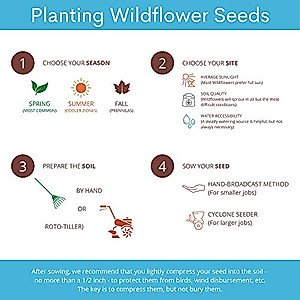 Bird & Butterfly Wildflower Pollinator Mix - 65,000+ Seeds Perennial & Annual Flowers - Planting Outdoors for Hummingbirds & More - Calendula, Yarrow, Poppy, Baby's Breath