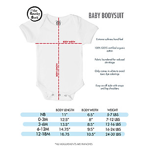 The Spunky Stork Family Mama Papa Baby Bear Matching Tshirt for Moms & Dads (3-6 Months, Baby Bear | Bodysuit)