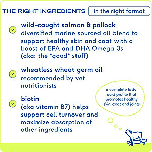 Native Pet Omega Oil for Dogs - Dog Fish Oil Supplements with Omega 3 EPA DHA - Supports Itchy Skin + Mobility - Omega 3 Fish Oil for Dogs Liquid Pump is Easy to Serve - a Fish Oil Dogs Love! (8 oz)