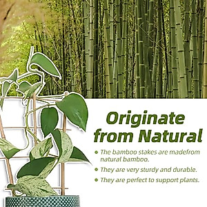 5 Pack 16" Bamboo Trellis for Climbing Plants-Natural Garden Ladder Trellis, Fan -Shaped Support Trellis for Potted Plant Decor in Door