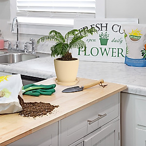 Palm Tree Potting Soil (8 Quarts), All Purpose Mix for Growing Indoor Palm Plants