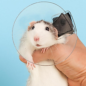 Sugar Glider Recovery Cone - Adjustable Protection Collar Soft Recovery Collar for Rat Bird Hamster Rabbit Guinea Pig After Surgery Wound Healing Elizabeth Neck E Collar for Small Animal (M (6-12cm))