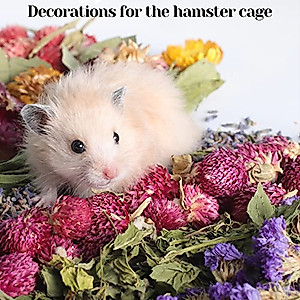 PINVNBY Hamster Bedding, 7OZ Natural Dried Flower & Herb Litter, Small Pet Bedding Small Animal Bedding Mate of Hamster Bedding for Gerbils Mice Lemming Degus (Flower & Grass)