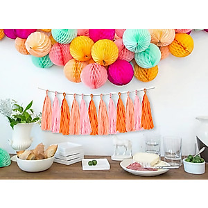 15PCS Pink Orange Peach DIY Tissue Tassel Garland Groovy Retro Party Tassel Banner Bunting Streamer for Girl Baby Shower Groovy Halloween Birthday Bridal Shower Nursery Classroom Wall Hanging Décor