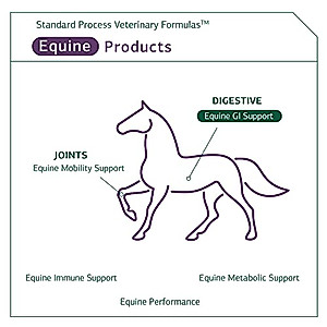 Standard Process Equine GI Support - Whole Food Horse Supplies for Digestive Health and Liver Support with Magnesium Citrate, Buckwheat, Sunflower Lecithin, Kale, Inulin, Brussels Sprouts - 30 Ounce