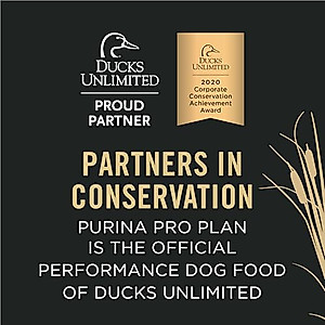 Purina Pro Plan Sport High Protein Puppy Food Beef & Rice Wet Formula - (Pack of 12) 13 oz. Cans