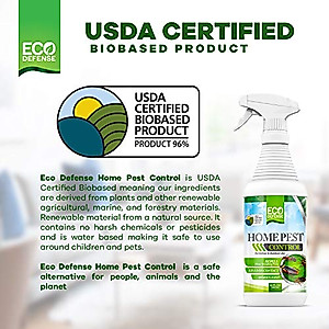 Eco Defense USDA Biobased Pest Control Spray - Ant, Roach, Spider, Bug Killer and Repellent - Natural Indoor & Outdoor Bug Spray - Child & Pet Friendly