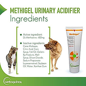 Vetoquinol Methigel Urinary Acidifier to Promote Urinary and Bladder Health for Dogs & Cats