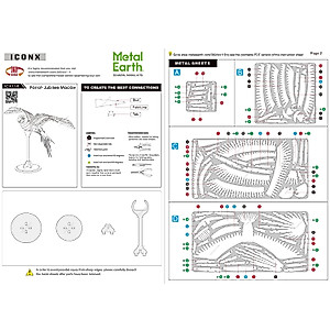 Metal Earth Fascinations Premium Series Jubilee Macaw Parrot 3D Metal Model Kit Bundle with Tweezers