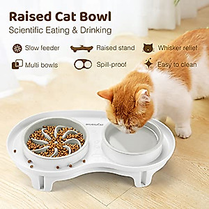 Elevated Cat Slow Feeder Bowl: Anti-Vomiting Bloat Stop Raised Food & Water Bowl for Kitten Healthy Eating - No-Spill/Non-Slip Shallow Puzzle Bowl for Puppy Small Dogs