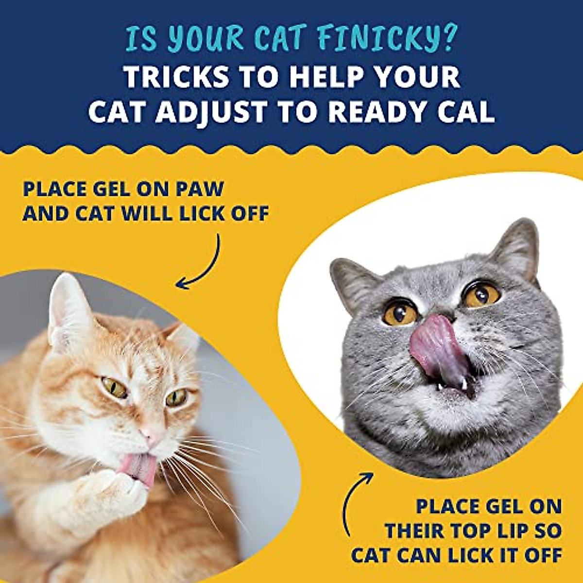 Under the Weather Pet | Ready Cal for Cats 100cc | High Calorie Nutritional Supplement for Weight Gain & Not Eating | 10 Vitamins, 7 Minerals, Omega Fatty Acids