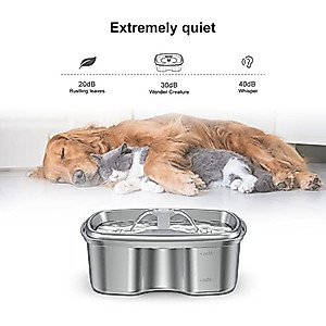 Bento Cat Water Fountain Stainless Steel 2-Way Spout, 2L/67oz Cat and Dog Fountain with Ultra Quiet Pump and 3 Carbon Filters, Dishwasher Safe, Pet Water Dispenser for Cats and Dogs