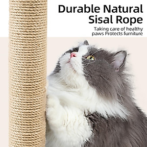 Yepdin Cat Scratching Post 39.4 inch Tall Cat Tree for Indoor Cats Large Adult Cat Scratching Post with Sisal Rope,Cute Kitten Cat Scratcher in Monstera Plants