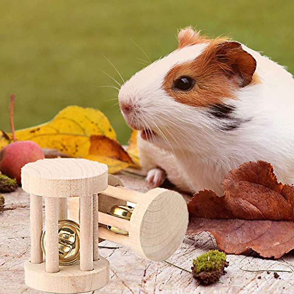 5 Pcs Hamster Chew Toys,Vankcp Natural Wooden Chew Toys Pets Teeth Care Molar Ball for Small Animals Cat Rabbits Rat Guinea Pig (5P)
