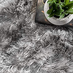 nuLOOM Latonia Silken Shag Area Rug, 5' x 8', Silver