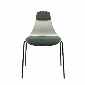 HESIEU Dining Chair Set of 2, Leisure Chair with Color-Blocking Cushions, Tilted 15°, Iron Legs with Silent Cushions, Double Back Support, Suitable for Dining Rooms, bedrooms and Living Rooms (Green)