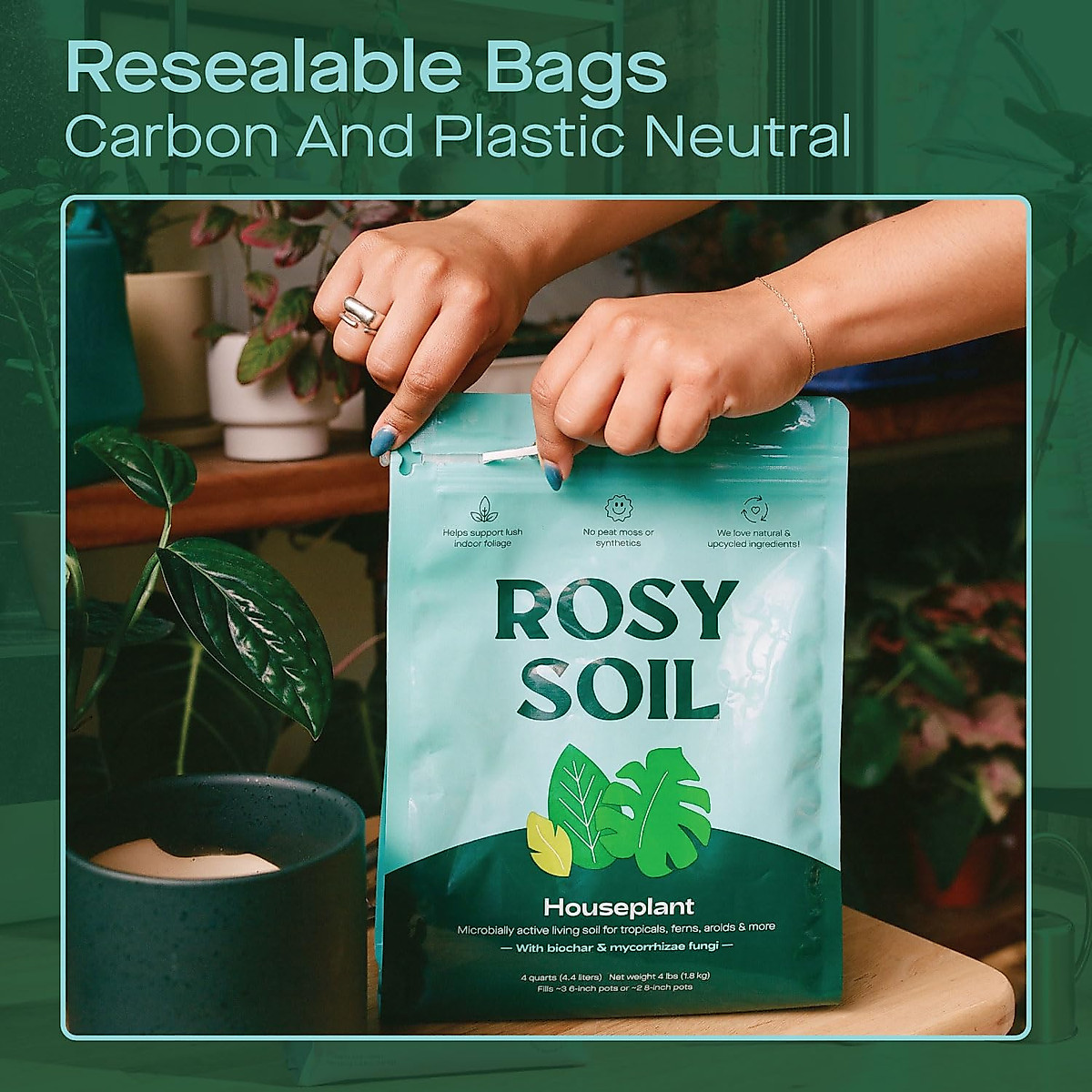 Rosy Soil Indoor Potting Soil for House Plants - Organic Potting Soil Mix for Indoor Plants -Enriched w/Root-Boosting Biochar for Foliage Plants, Flowers, Herbs - Peat Free House Plant Soil - 4qt