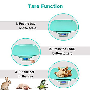 Flyvyan Digital Pet Scale, Puppy Scale for Whelping, Kitten Scale with Foldable LED Display, Small Animal Scale for Dog/Cat/Rabbit/Hamster, Kitchen Scale with Removable Tray (Robin Egg Blue)