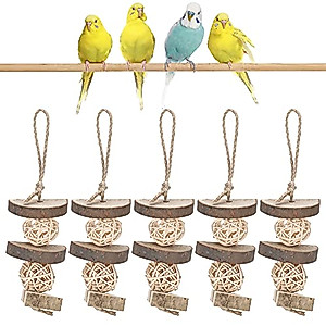 SYH&AQYE 5Pcs Bird Chewing Toys Bird Beak Grinding Stone for Parrots/Hamsters and Other Rodents Cage Hanging Bird Biting String Pet Accessory