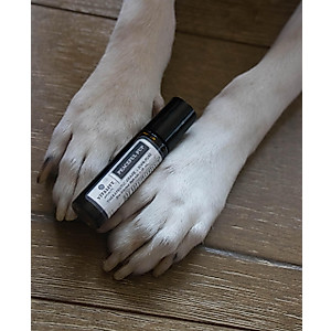 Peaceful Pup - Dog Anxiety & Stress Relief Roll-On (by Vitality Extracts) - Natural Calm, Ease Anxiety & Stress, Aromatherapy, Lavender Essential Oil, Lemon Essential Oil, in Almond Oil Base