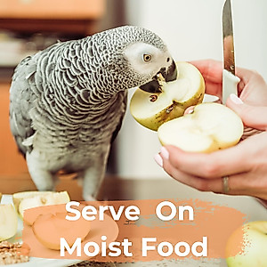 UnRuffledRx FeatherUp! Bird Vitamins with Biotin for Beautiful Plumage - Feather Growth Supplements for Parrots - 90 gm - 240 Servings