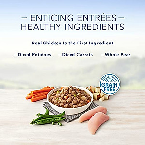 Blue Buffalo Delights Natural Adult Small Breed Wet Dog Food Cup, Roasted Chicken Flavor in Hearty Gravy 3.5-oz (Pack of 12)