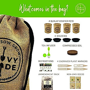 Tea Seeds Herb Garden Kit Indoor – Non-GMO Heirloom Chamomile, Lavender, Mint, Lemon Balm Herbal Tea Seeds for Planting – Tea Making Kit w/Soil Amendments, Markers, Infuser – Gardening Gifts