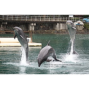 Canon Mirror-Less SLR Camera EOS M3 Double Lens kit (White) EF-M18-55mm F3.5-5.6 is STM EF-M22mm F2 STM Comes EOSM3WH-WLK [International Version, No Warranty]