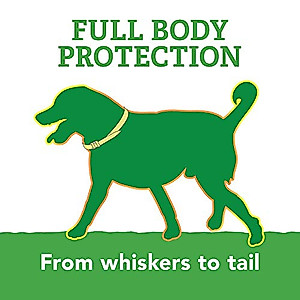 Natural Care Repellent Flea and Tick Collar for Dogs and Puppies - 4 Month Flea & Tick Treatment for Dogs - Repels Fleas & Ticks with Certified Natural Oils