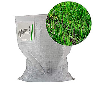 No-Till Winter Rye Seeds - 5 Lbs - Non-GMO Rye Grain Cover Crop Seeds by Mountain Valley Seed Company