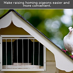 Suzile 2 Pcs 11.81" x 10.24" Pigeon Cage Door Bird Wire One Way Entrance Door Iron Pigeon Trap Door Bird House Door for Racing Supply Birdcage Breeding, White