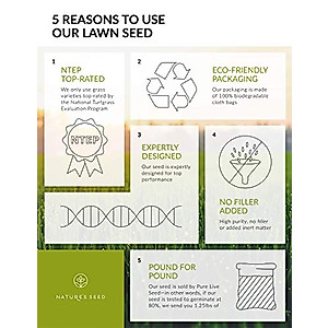 Nature's Seed TURF-CYDA-5000-F Bermudagrass Seed Blend, 5000 sq. ft.