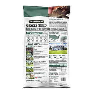 Pennington Kentucky 31 Tall Fescue Penkoted Grass Seed 40 lbs